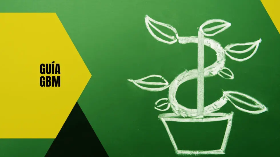 ¿Qué es y cómo funciona GBM Plus? Guía por un Inversionista REAL